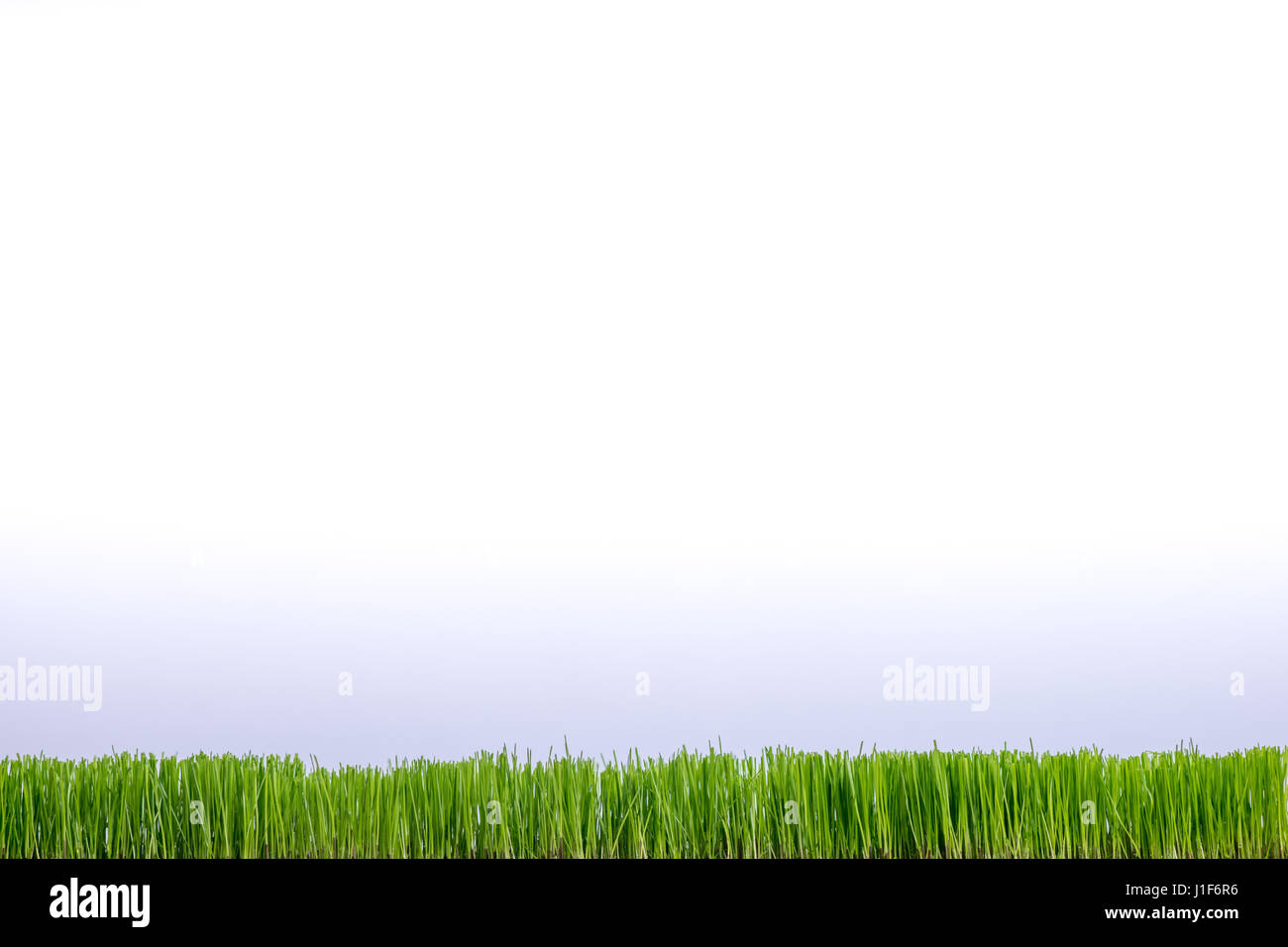 green grass spring Stock Photo - Alamy