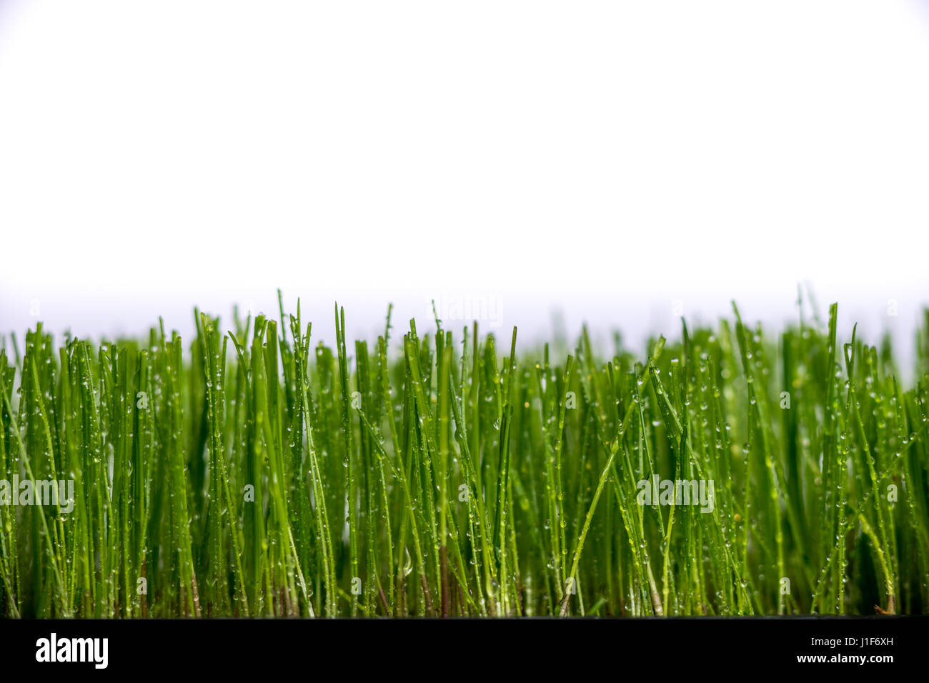Mowing green grass hi-res stock photography and images - Alamy