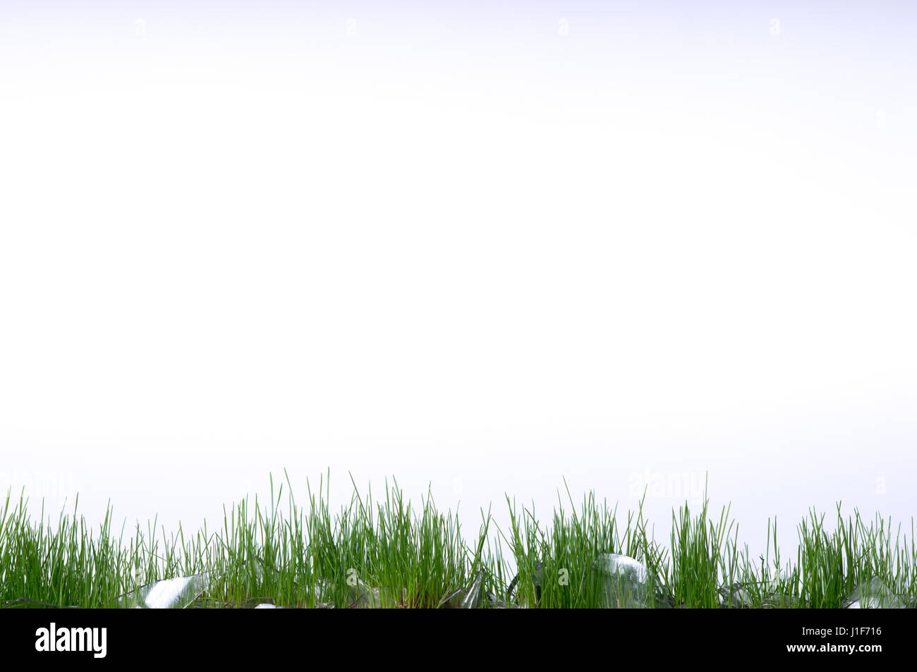 green grass - broken glass Stock Photo - Alamy