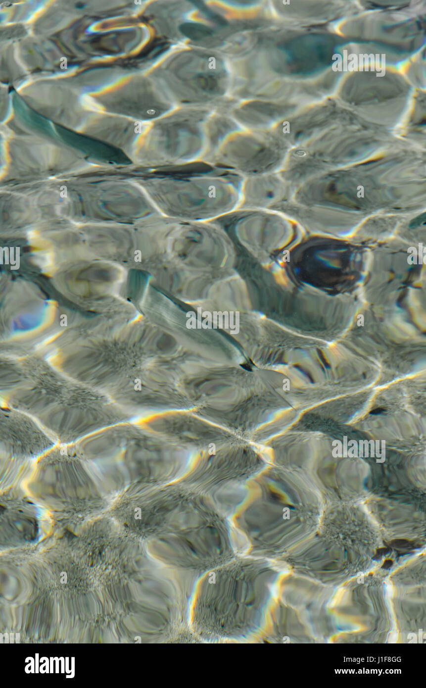 Distorted in crystal hi-res stock photography and images - Alamy