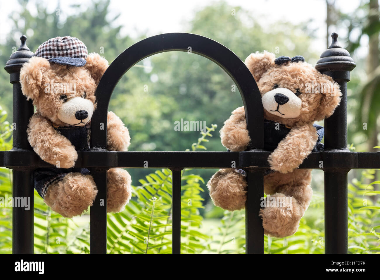 Teddy bears hanging on a fence in park with copy space, love and ...