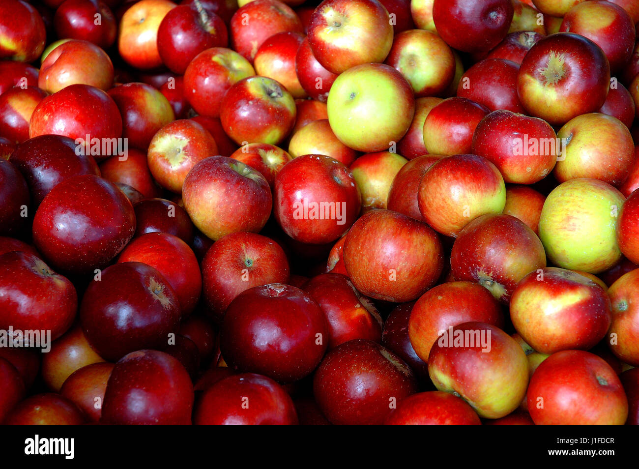 smoky mountains North Carolina autumn country srore fruit Stock Photo ...