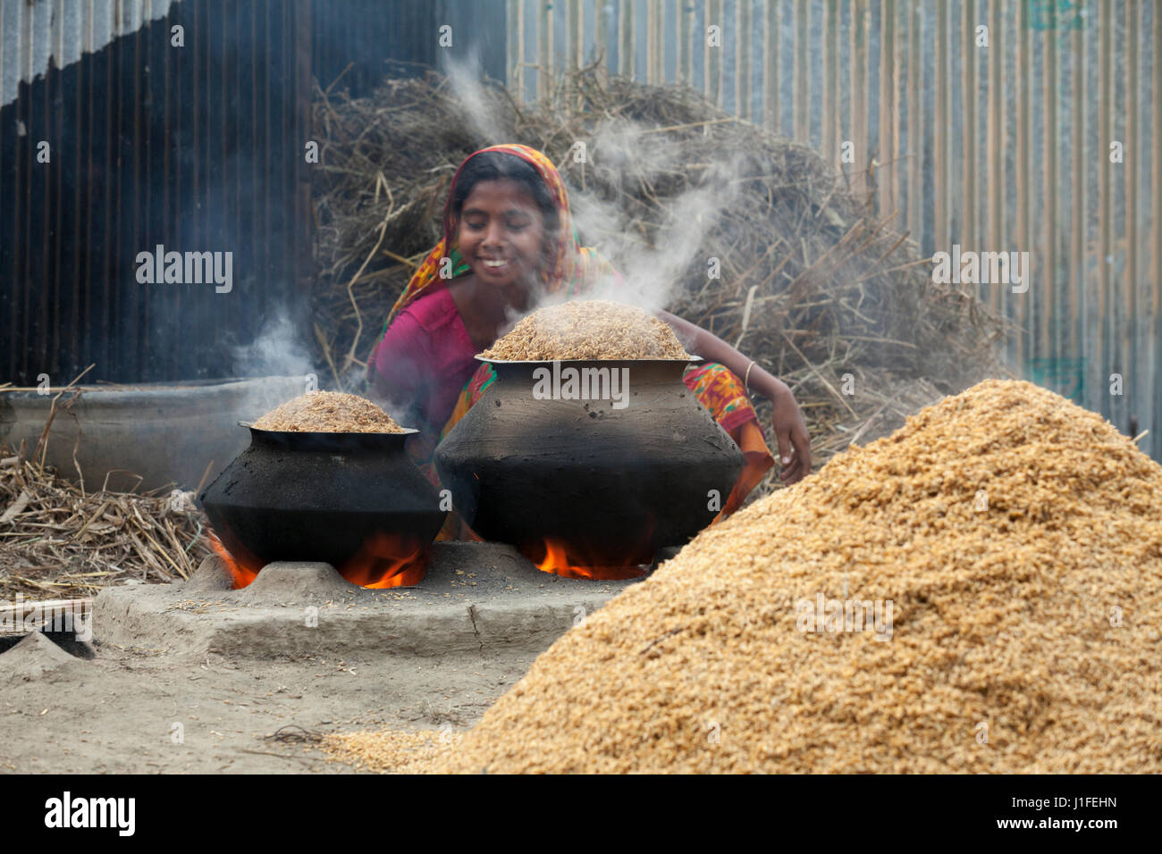 A woman boils paddy at her home courtyard in Chalanbil. Natore ...
