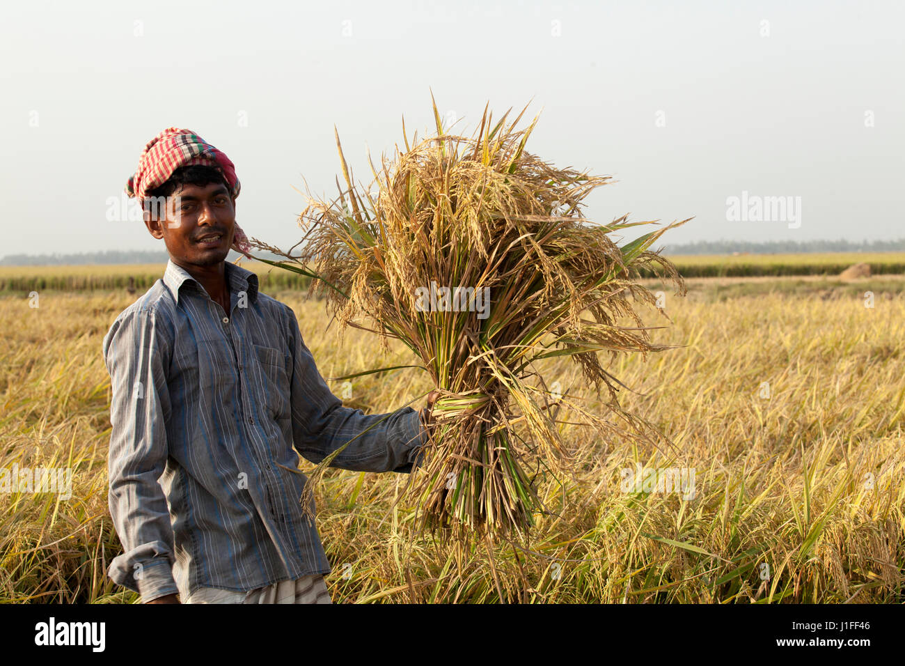 Paddy adult hi-res stock photography and images - Alamy