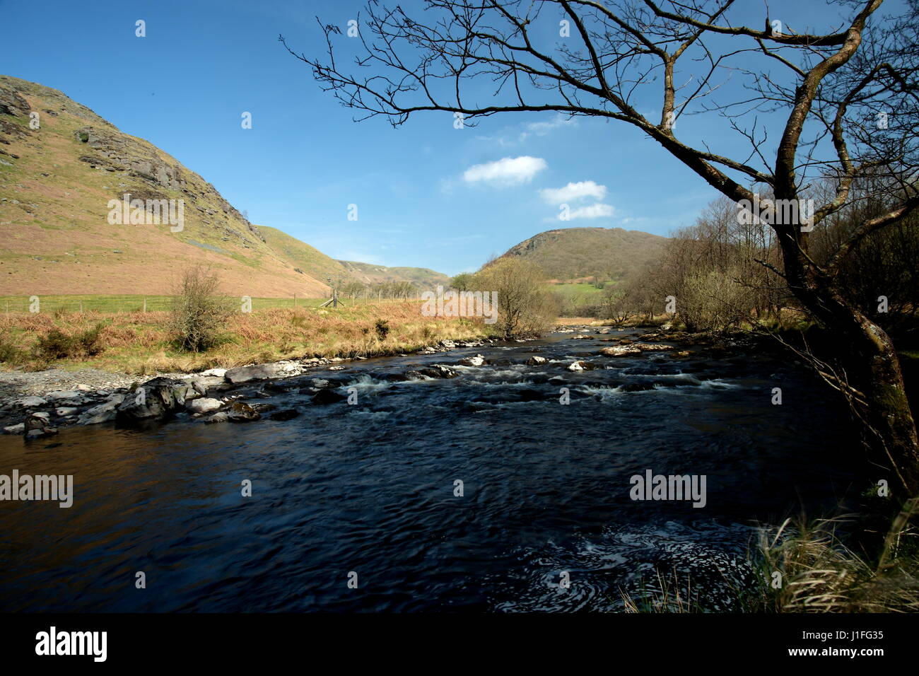 River Towy,Afon Tywi,wales.taken in the Gwenffrwd Dinas reserve water ...