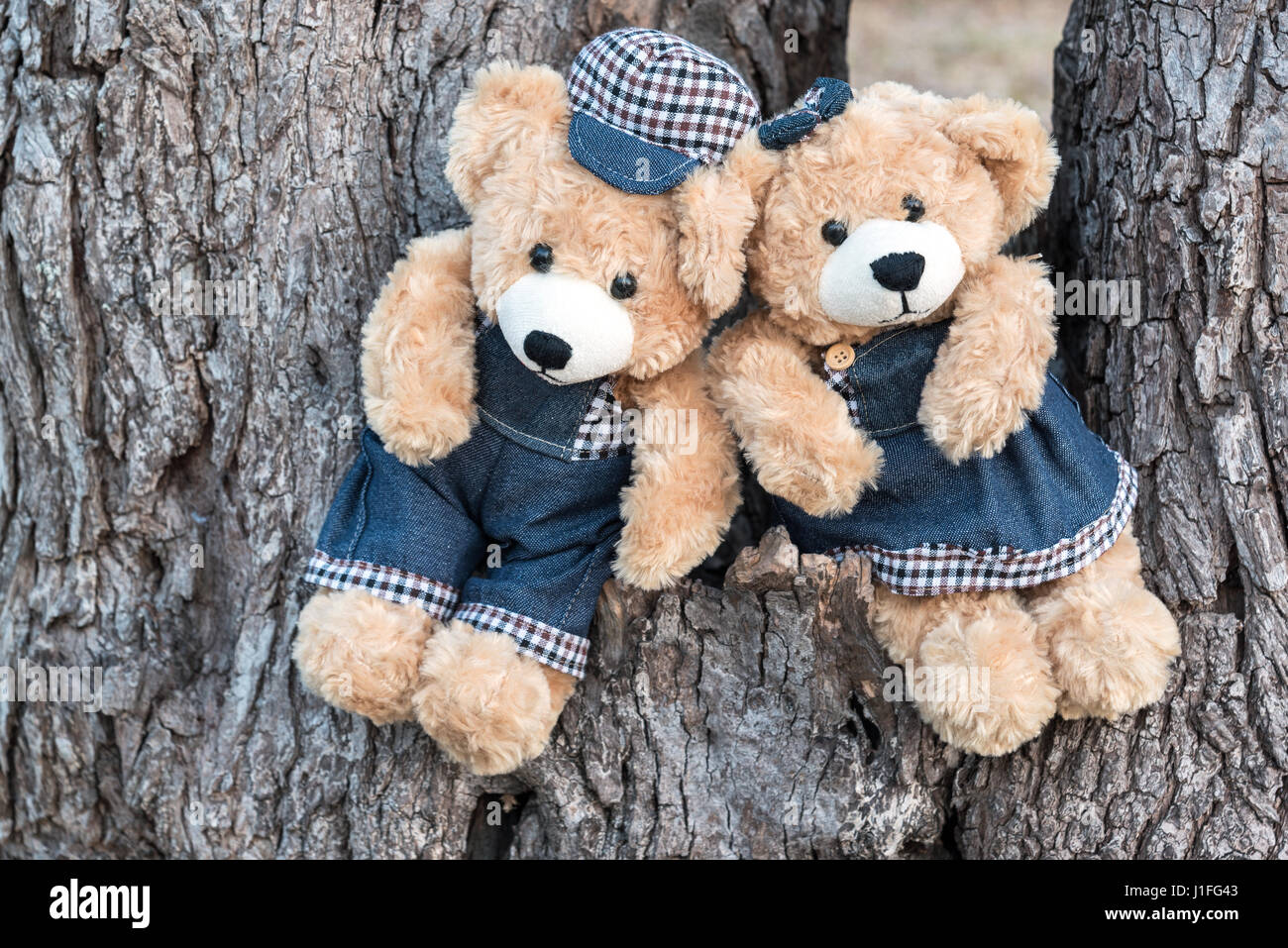 Teddy bears sitting on a tree in garden, love and friendship concept in ...