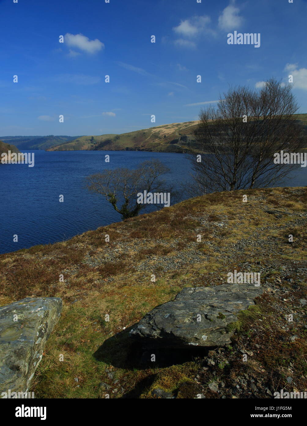 Llyn Brianne reservoir,wales on a clear day with blue sky and trees in ...