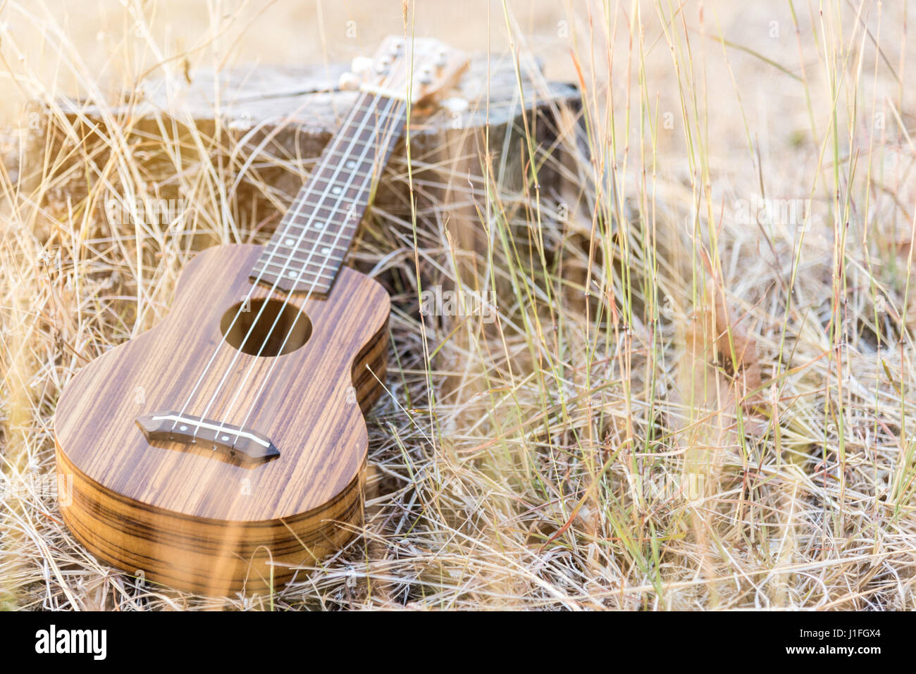 ukulele in vintage style on brown grass background Stock Photo - Alamy