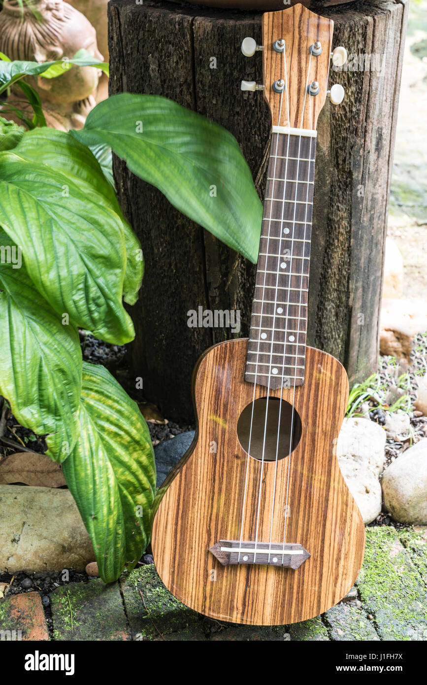Ukulele on garden background, small guitar on garden Stock Photo - Alamy