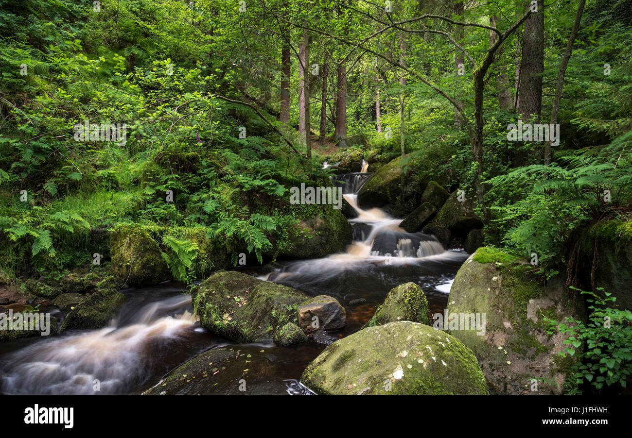Rocky stream at Wyming brook nature reserve, Sheffield, South Yorkshire ...