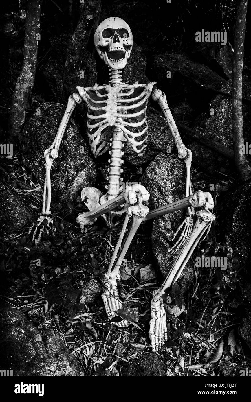 Still life photography with human skeleton in forest, black and white ...