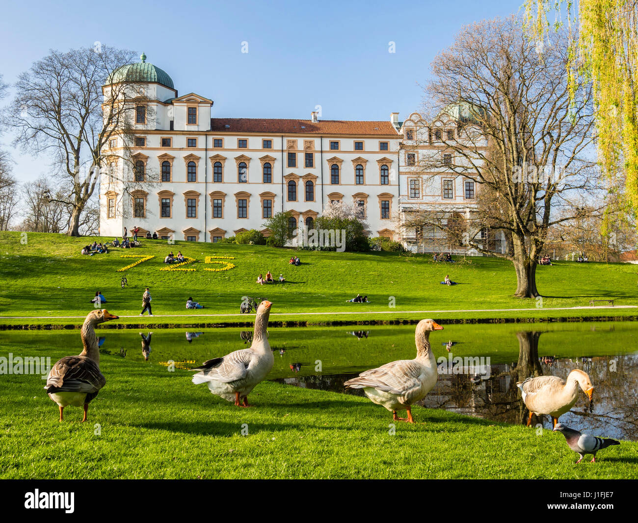 Celle Castle at spring, flowers celebrate 725 year anniversary,goose in ...