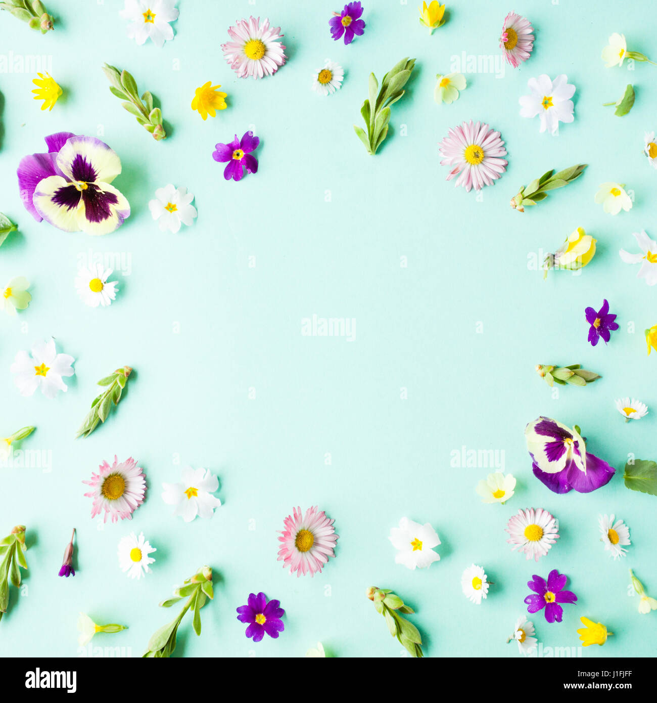 Spring flowers frame Stock Photo - Alamy