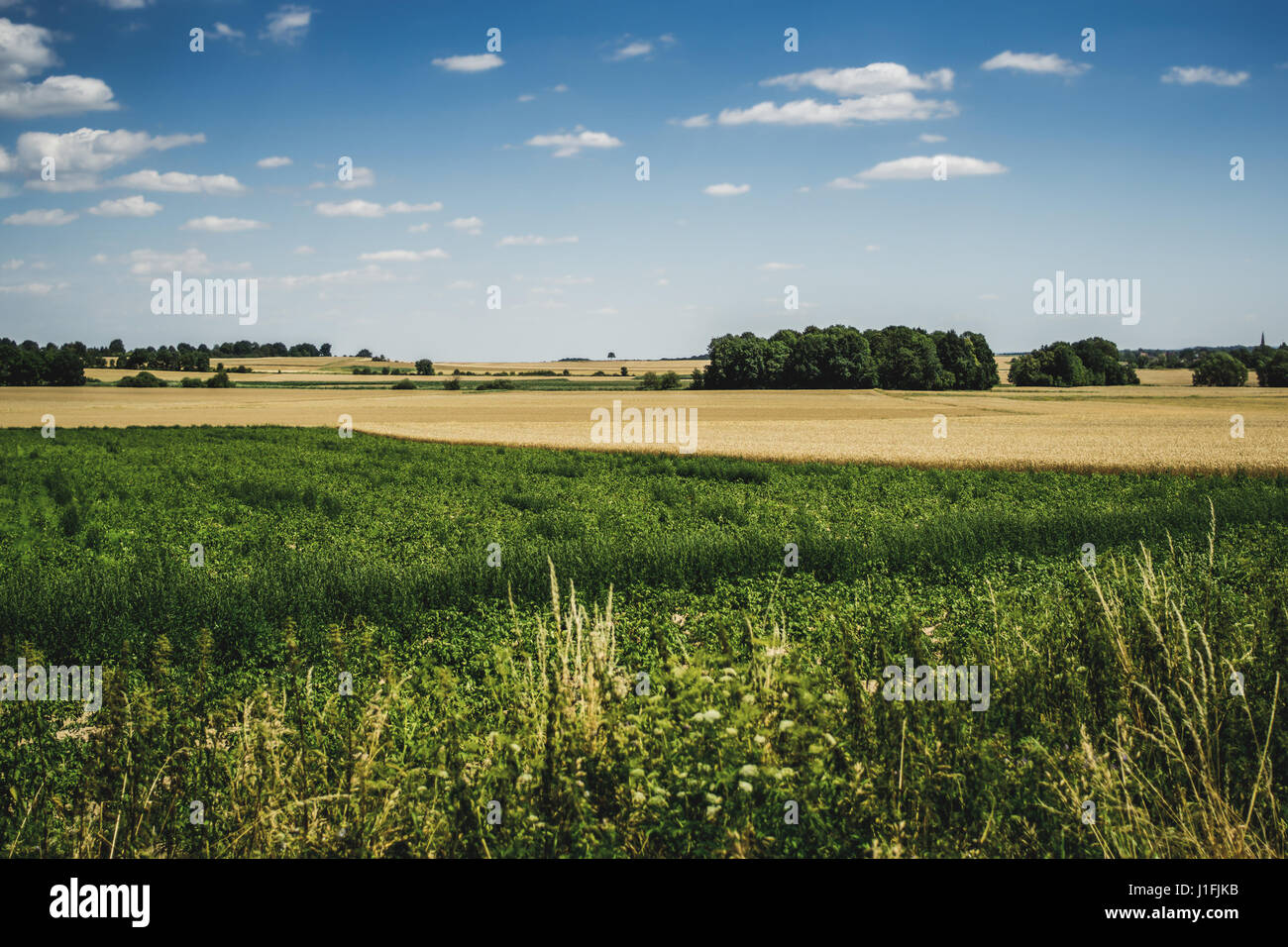 Rural farm fields landscape on a sunny day in summer Stock Photo - Alamy