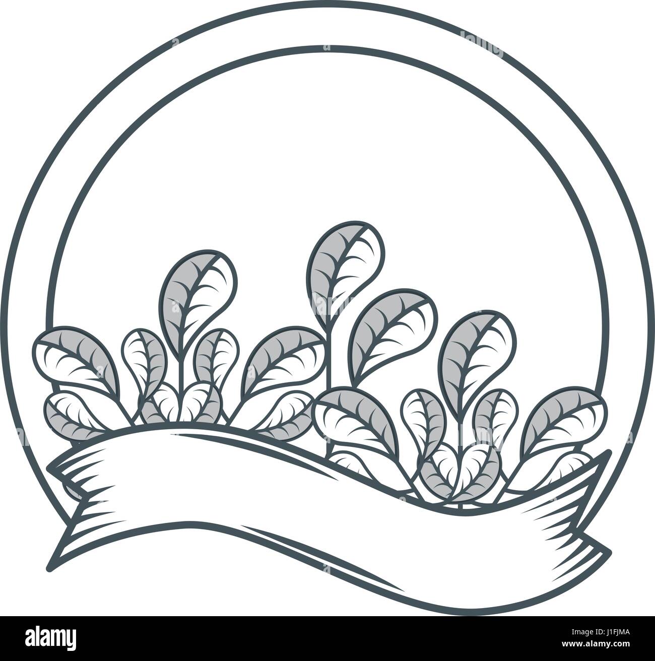 leafs plant decorative icon Stock Vector Image & Art - Alamy