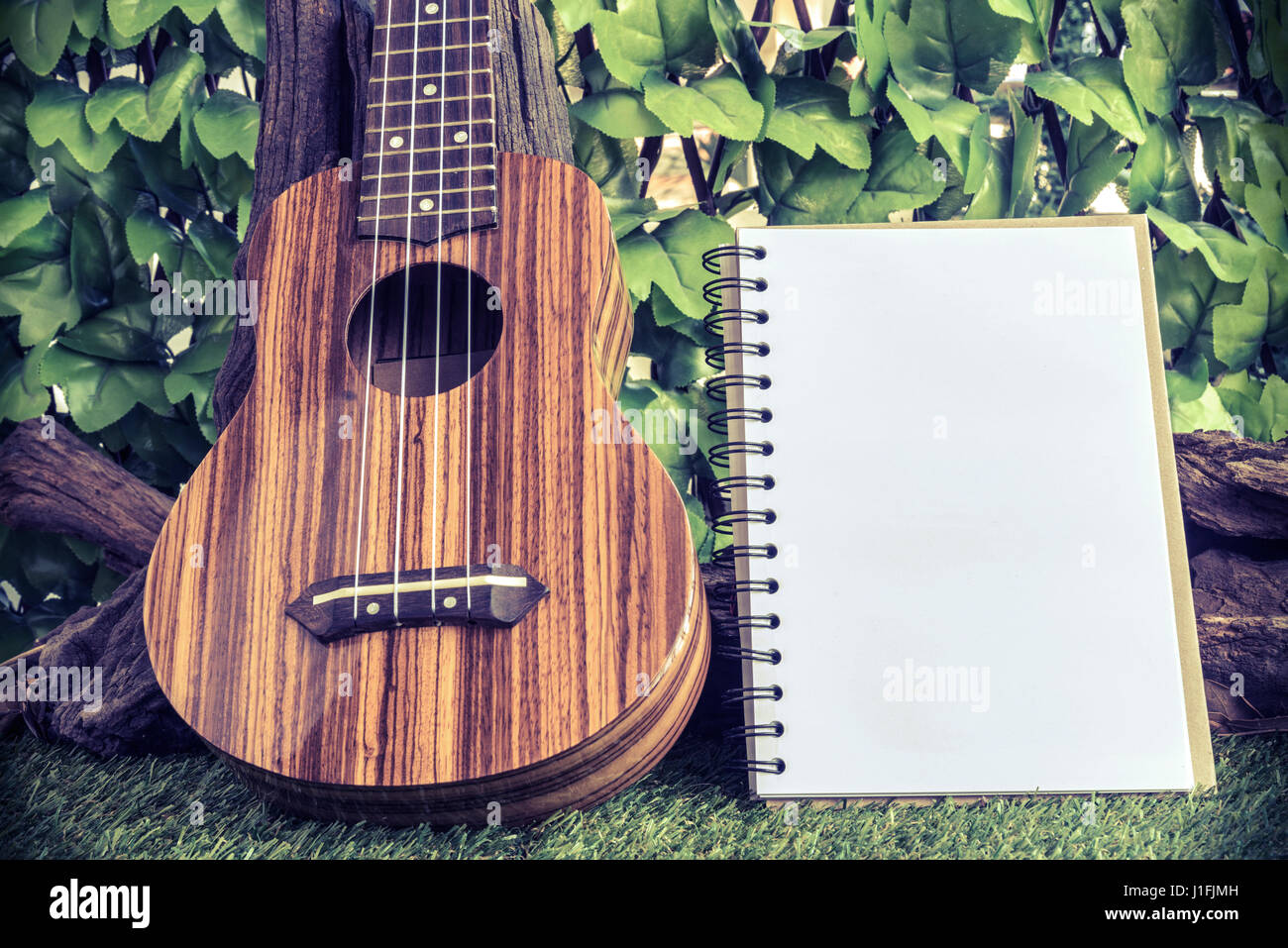 ukulele with notbook on garden background, vintage style Stock Photo ...
