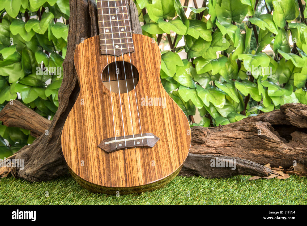 ukulele on garden background Stock Photo - Alamy