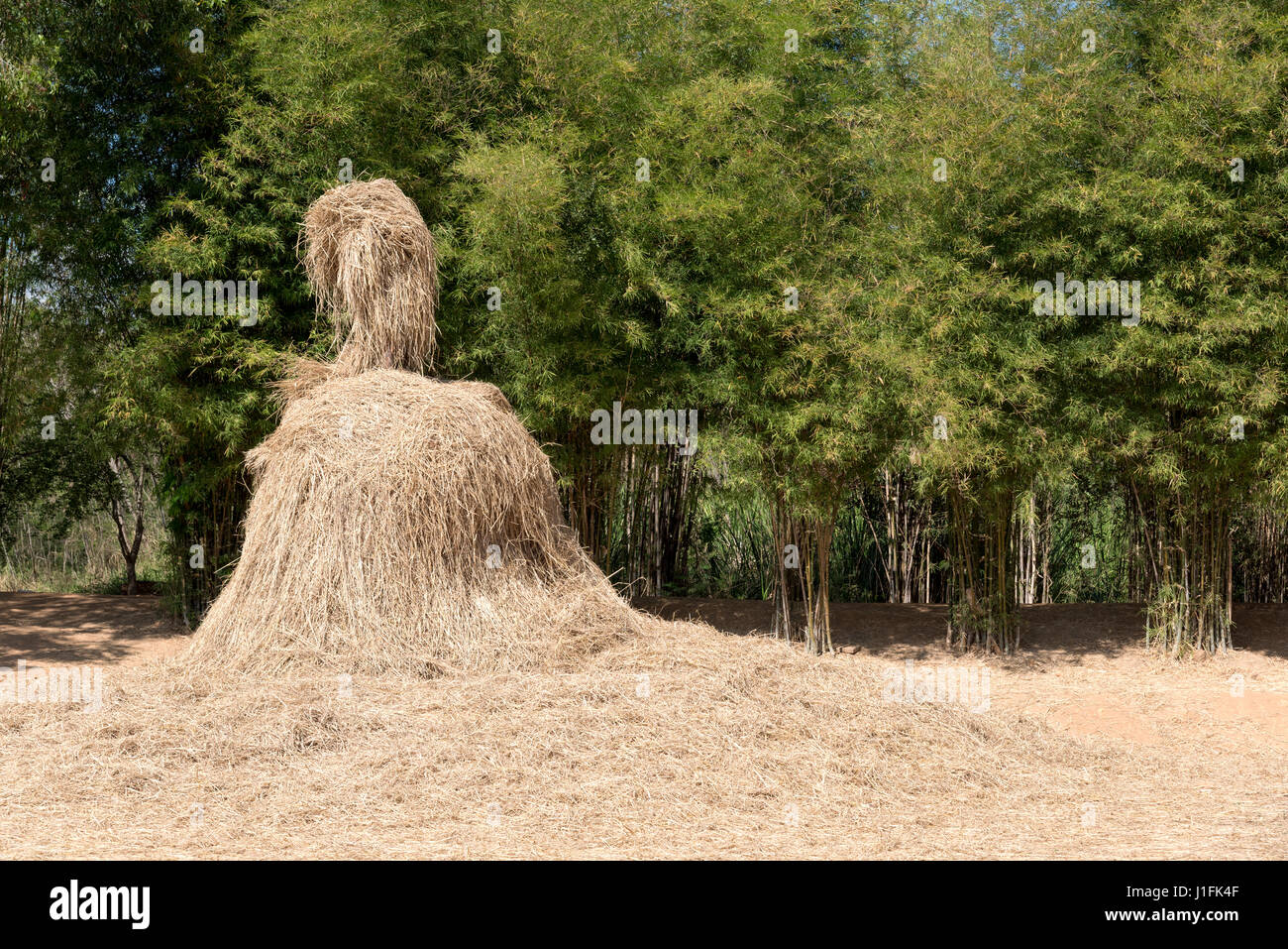 hay bale with bamboo background in thailand Stock Photo - Alamy