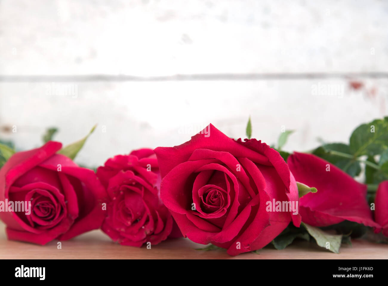 roses for valentine day with copy space, love concept Stock Photo - Alamy