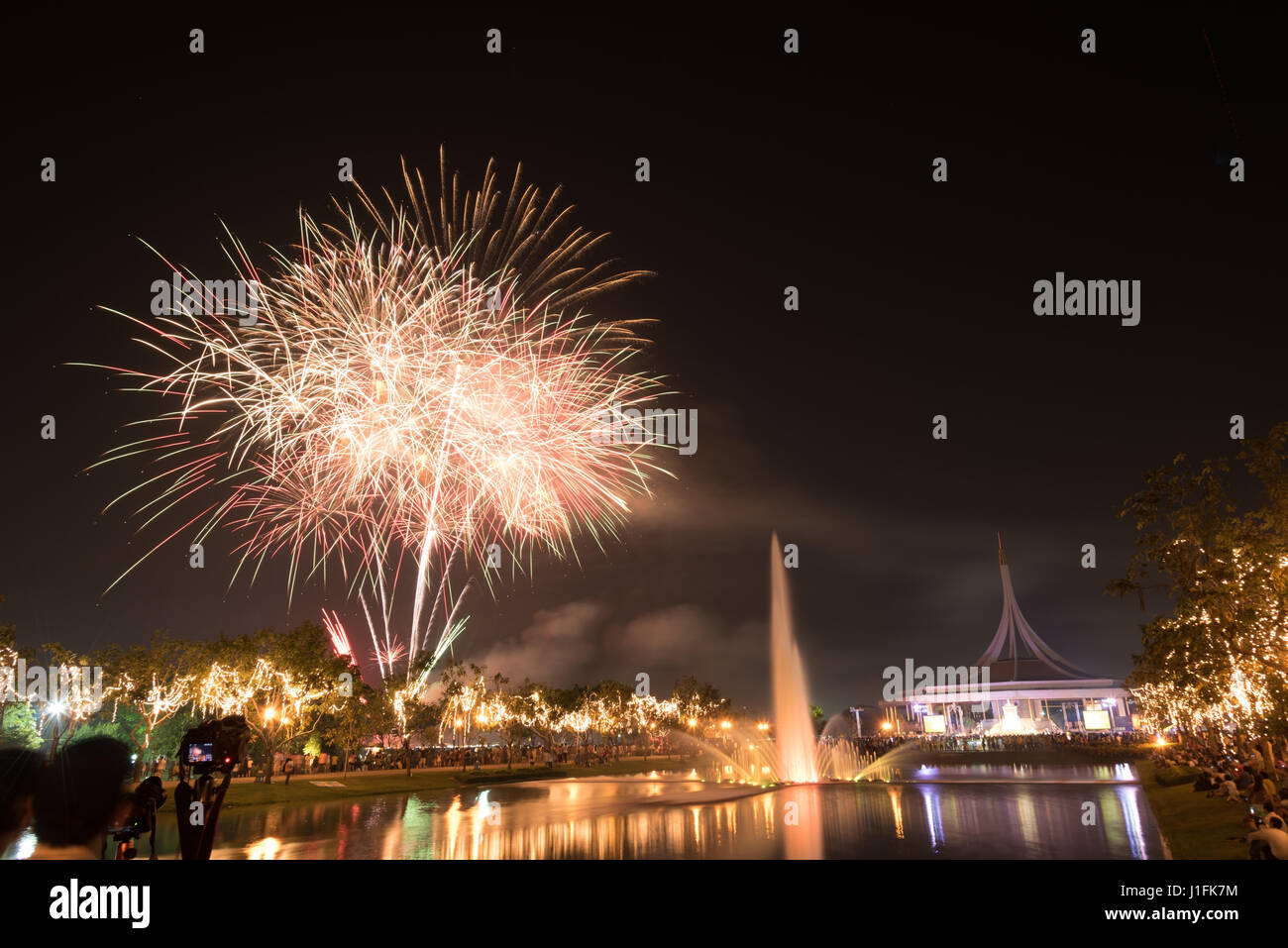 beautiful firework display for celebration Stock Photo - Alamy