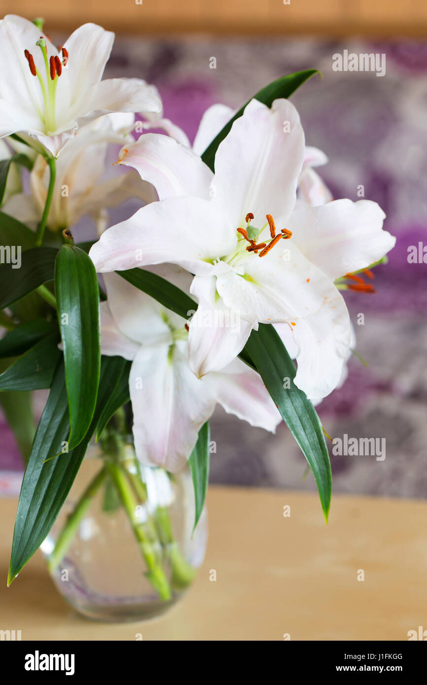 Perfect flower hi-res stock photography and images - Alamy