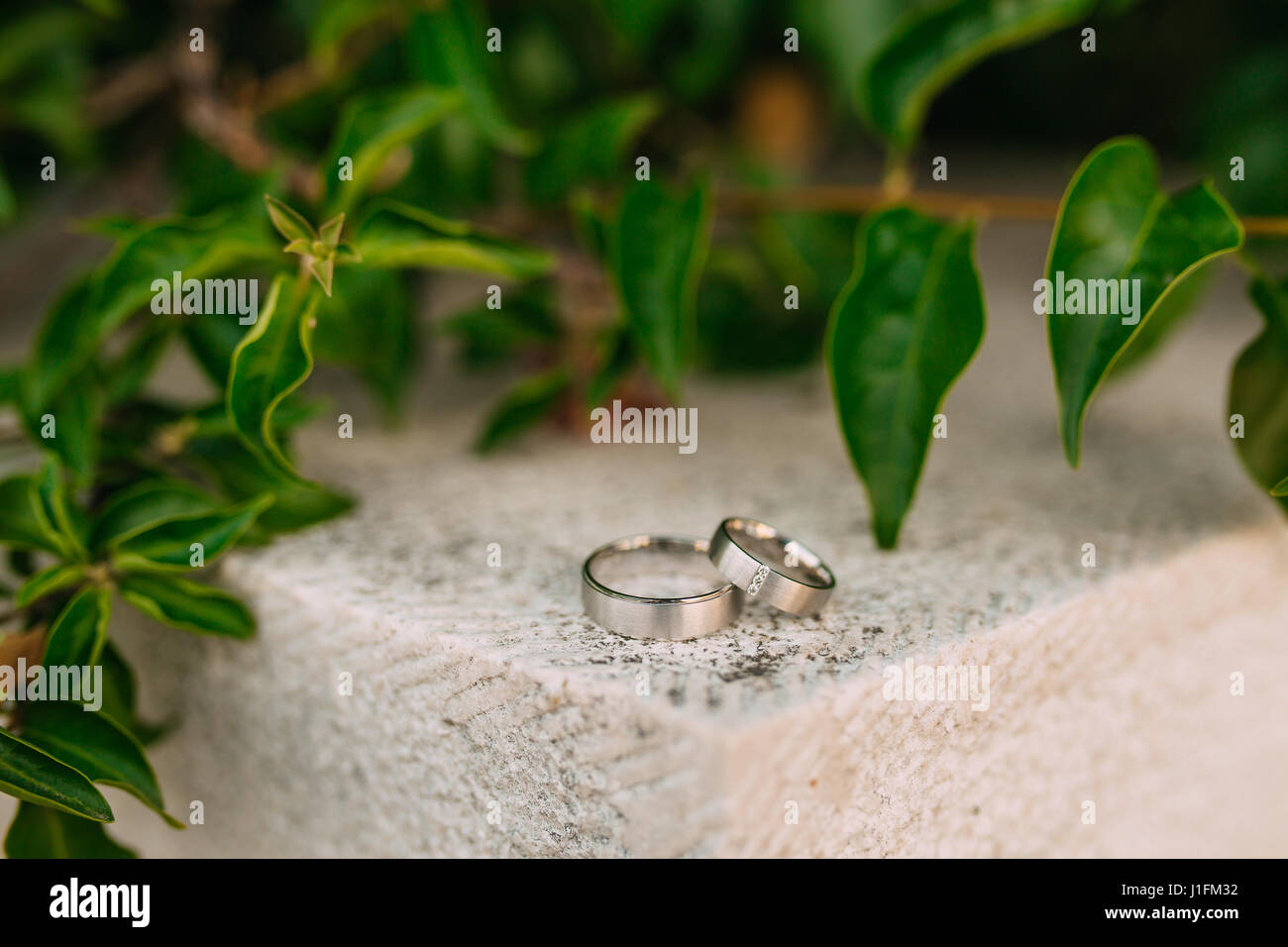 Wedding rings on the stones in the grass Stock Photo - Alamy