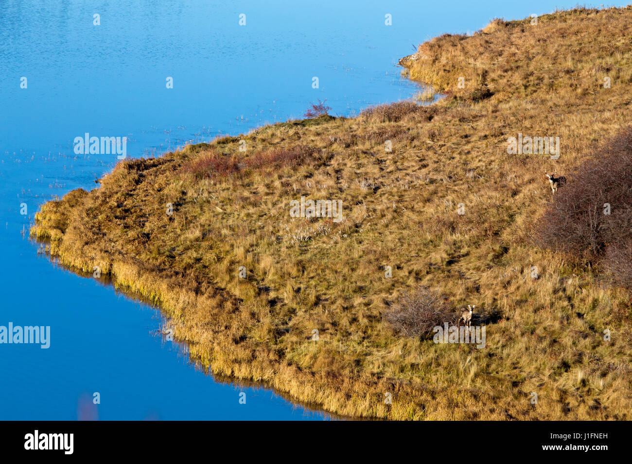 Cypress border hi-res stock photography and images - Alamy