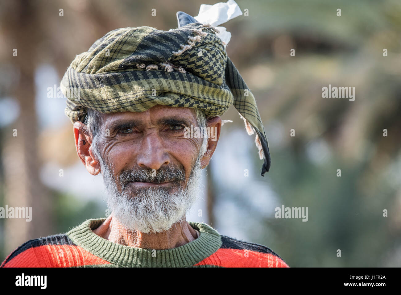 Wadi ghul oasis hi-res stock photography and images - Alamy