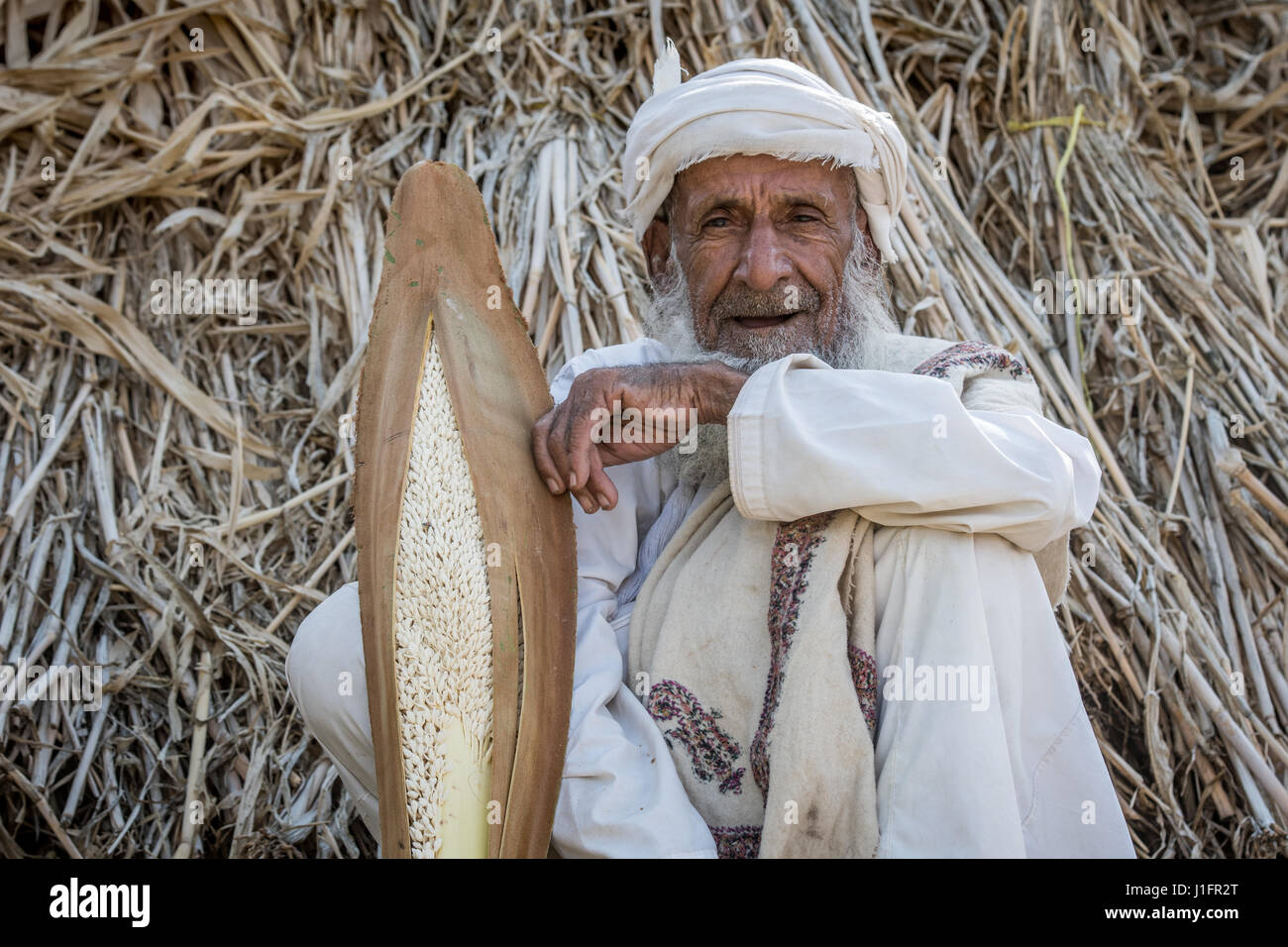 Wadi ghul oasis hi-res stock photography and images - Alamy