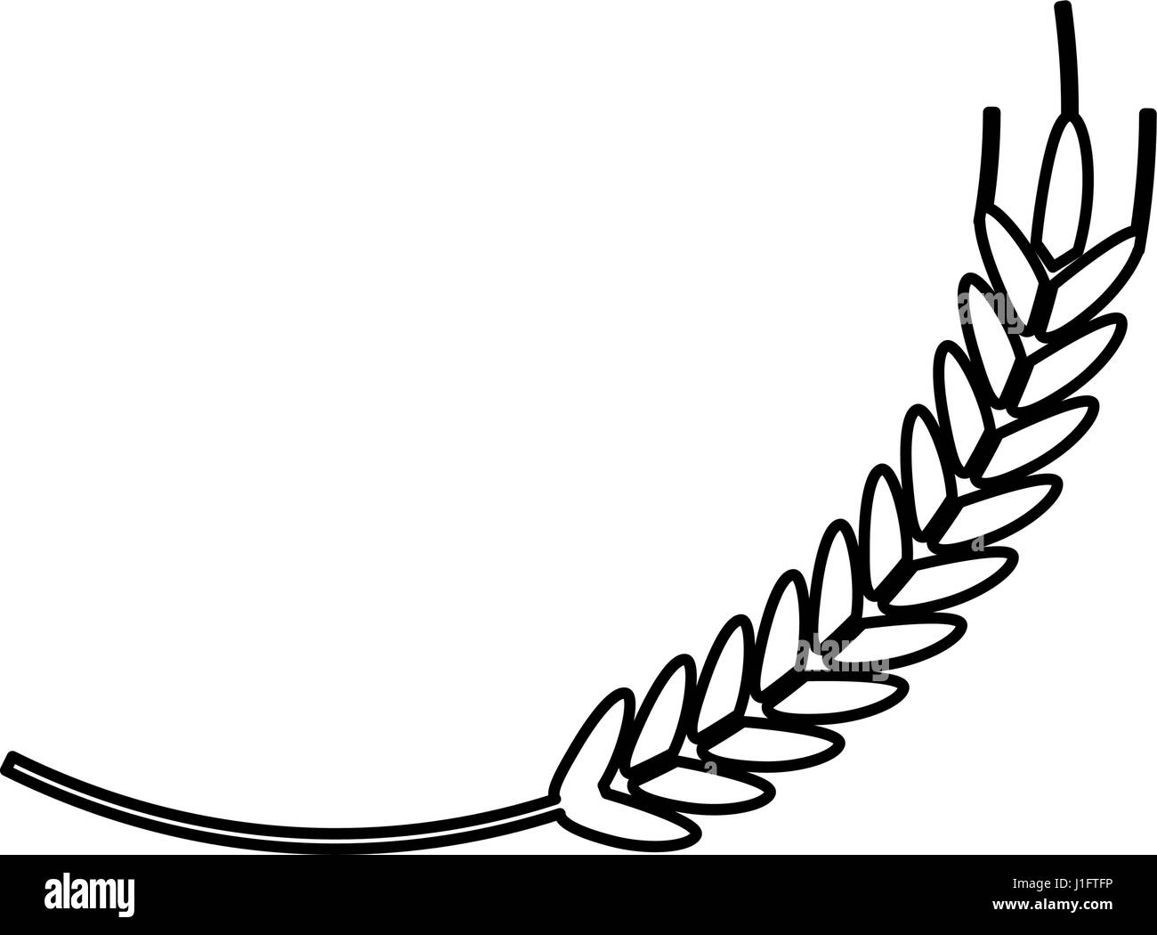 wheat ear icon Stock Vector Image & Art - Alamy