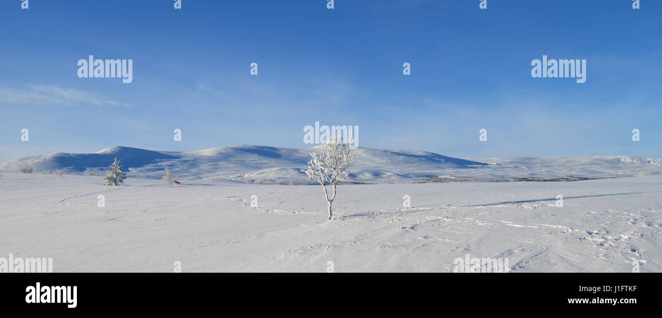 Nordic snow covered winter landscape with tree in front and mountain ...