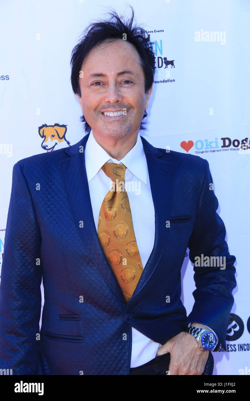 Fashion Unleashed: A benefit for Animal Hope and Wellness Foundation ...