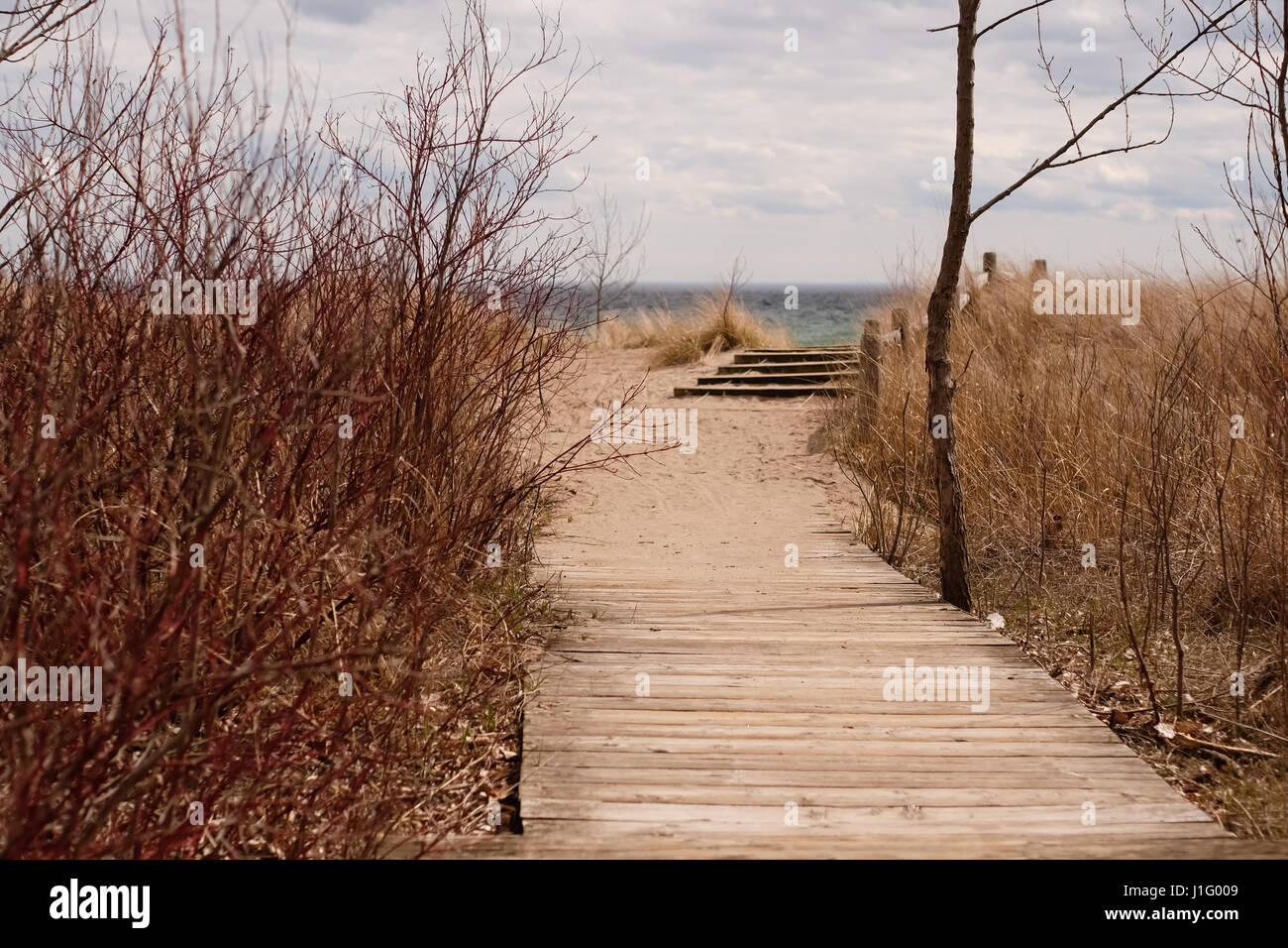 A pathway on the beach leading to Lake Ontario Stock Photo - Alamy