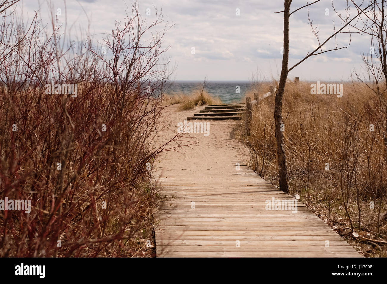 A pathway on the beach leading to Lake Ontario Stock Photo - Alamy