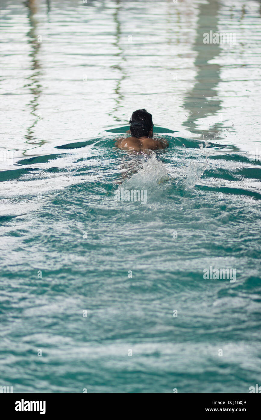swimmer swimming in pool, rear view Stock Photo - Alamy