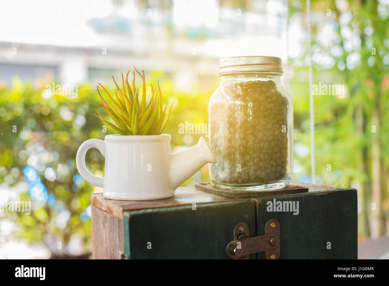 Small bean tree hi-res stock photography and images - Alamy