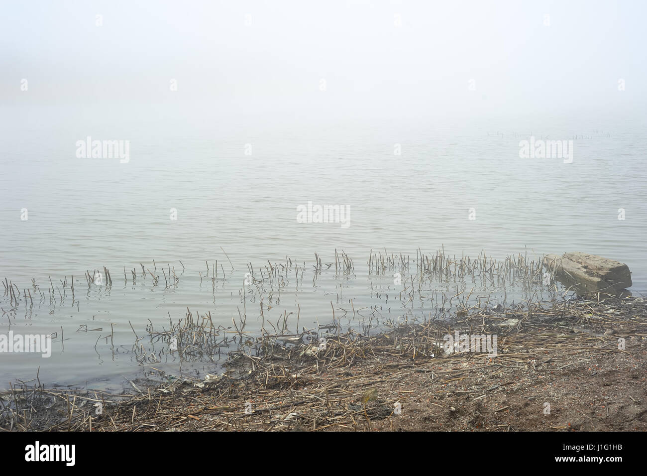 Landscape with fog over lake Stock Photo - Alamy