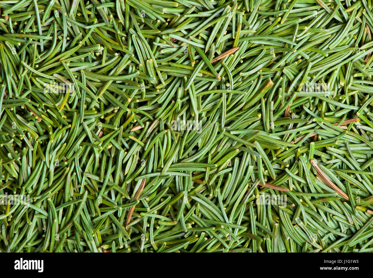 Christmas tree needles background Stock Photo - Alamy