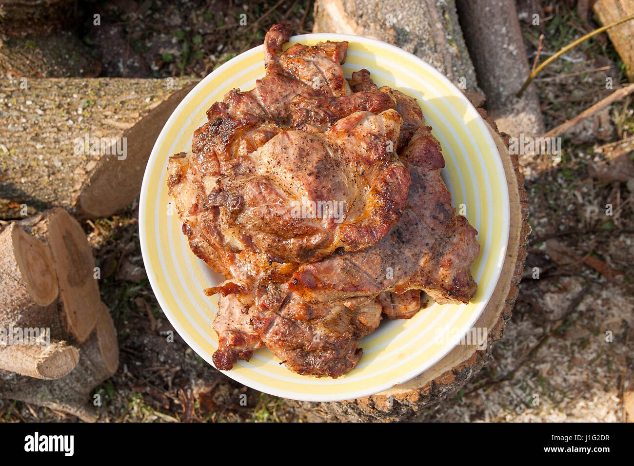 Juicy slices of meat cooked on an open flame grill on big white plate ...