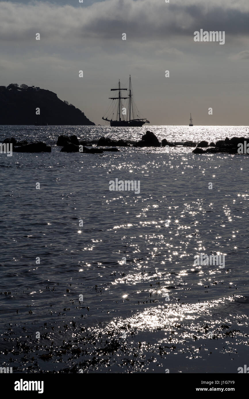 Tall ship in Torbay,at anchor, black, boat, bow, hull, masts, misty ...