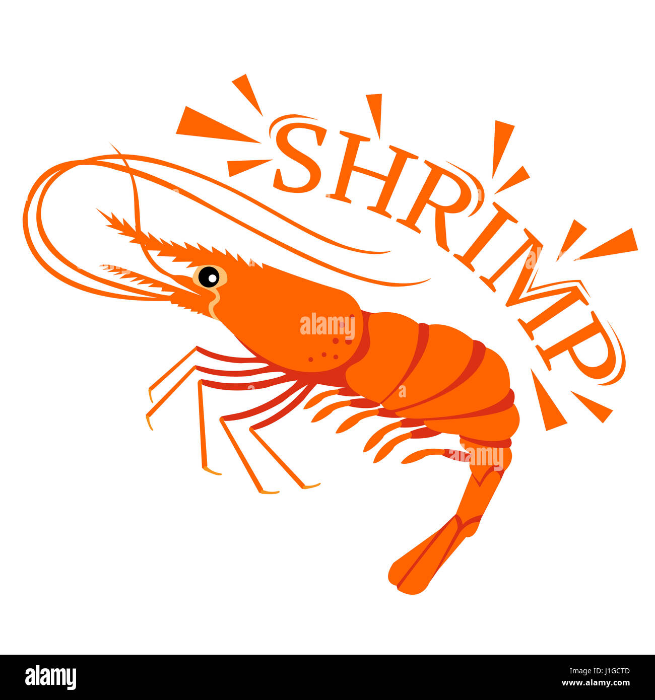 Shrimp Cartoon