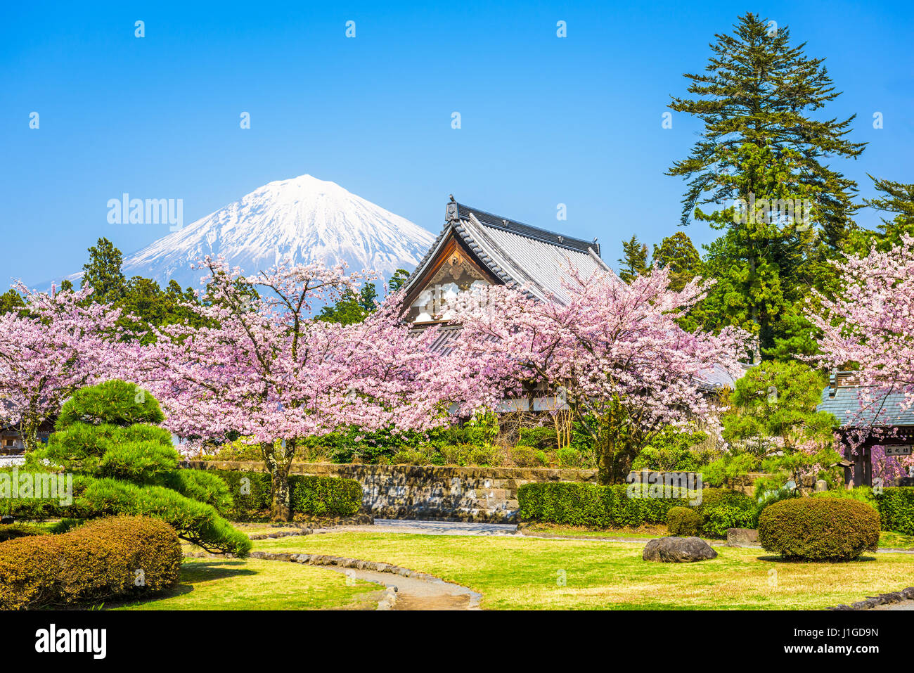 Shrine in shizuoka hi-res stock photography and images - Alamy