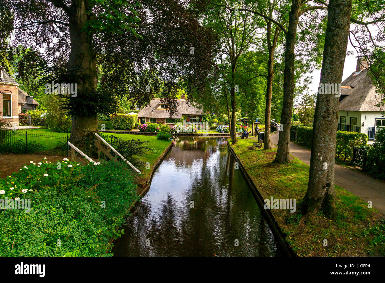 Landscape view of famous village of Giethoorn with small canals and ...