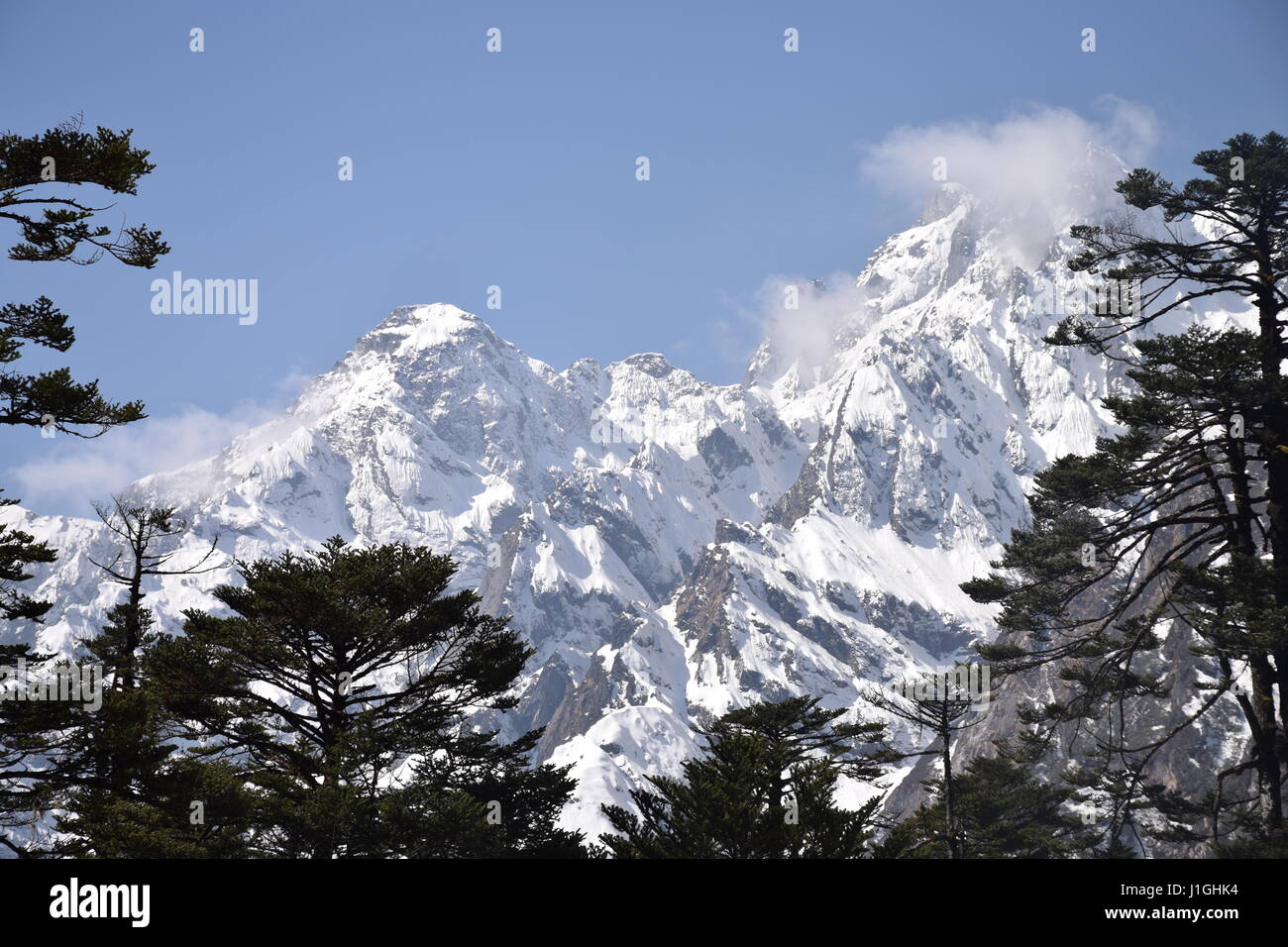 Valley of flower sikkim hi-res stock photography and images - Alamy
