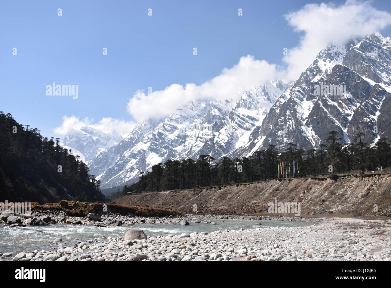 Valley of flower sikkim hi-res stock photography and images - Alamy