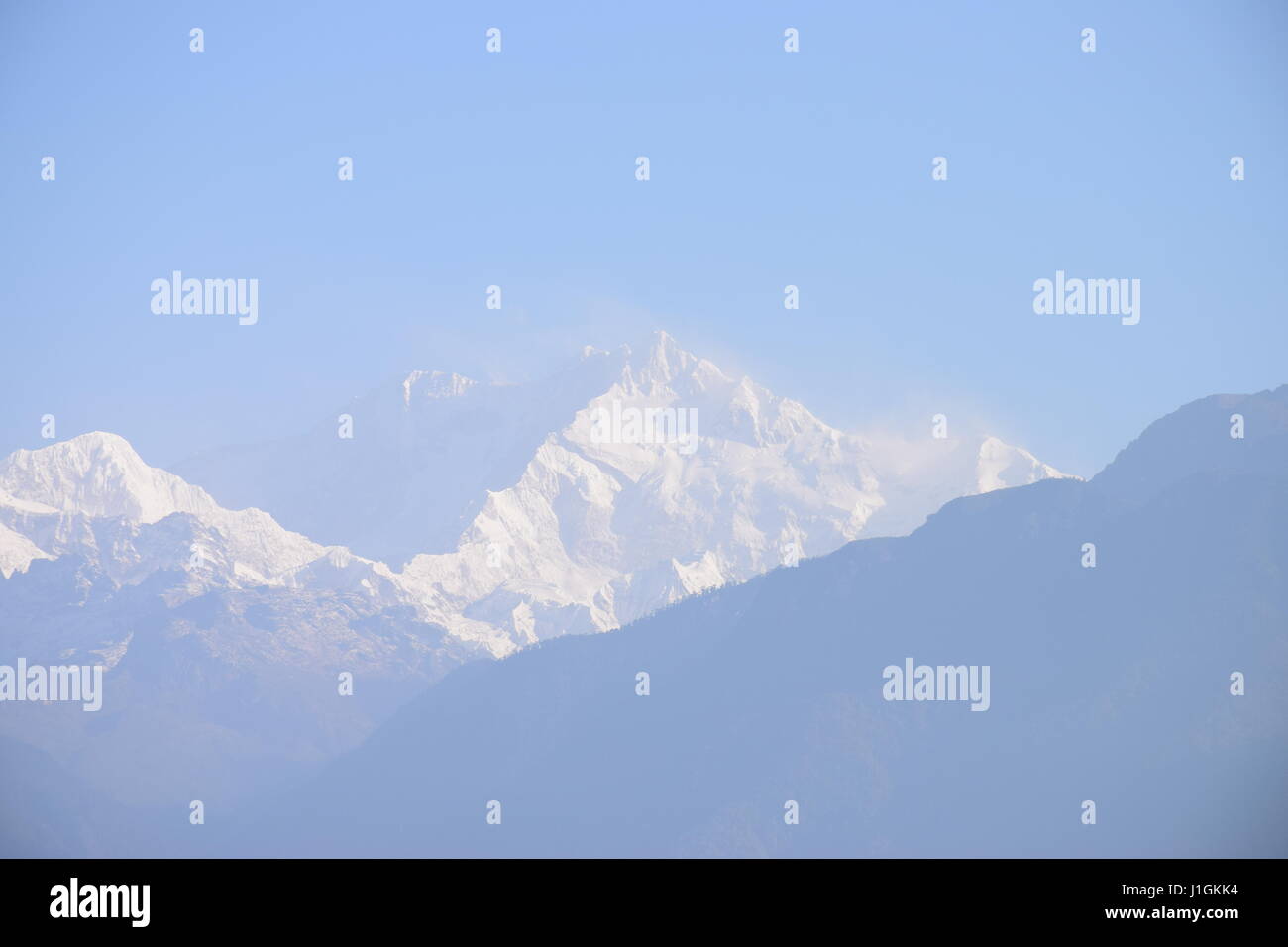 Sikkim birds High Resolution Stock Photography and Images - Alamy