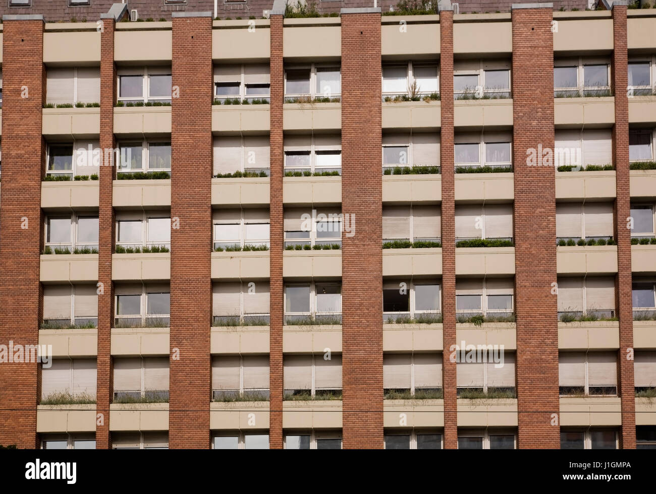 Plants growing building architecture hi-res stock photography and ...