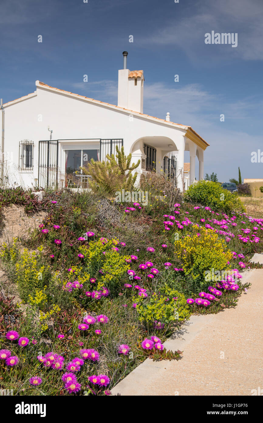 Colourful flowers infront of a white washed villa in Andalucia, Spain ...