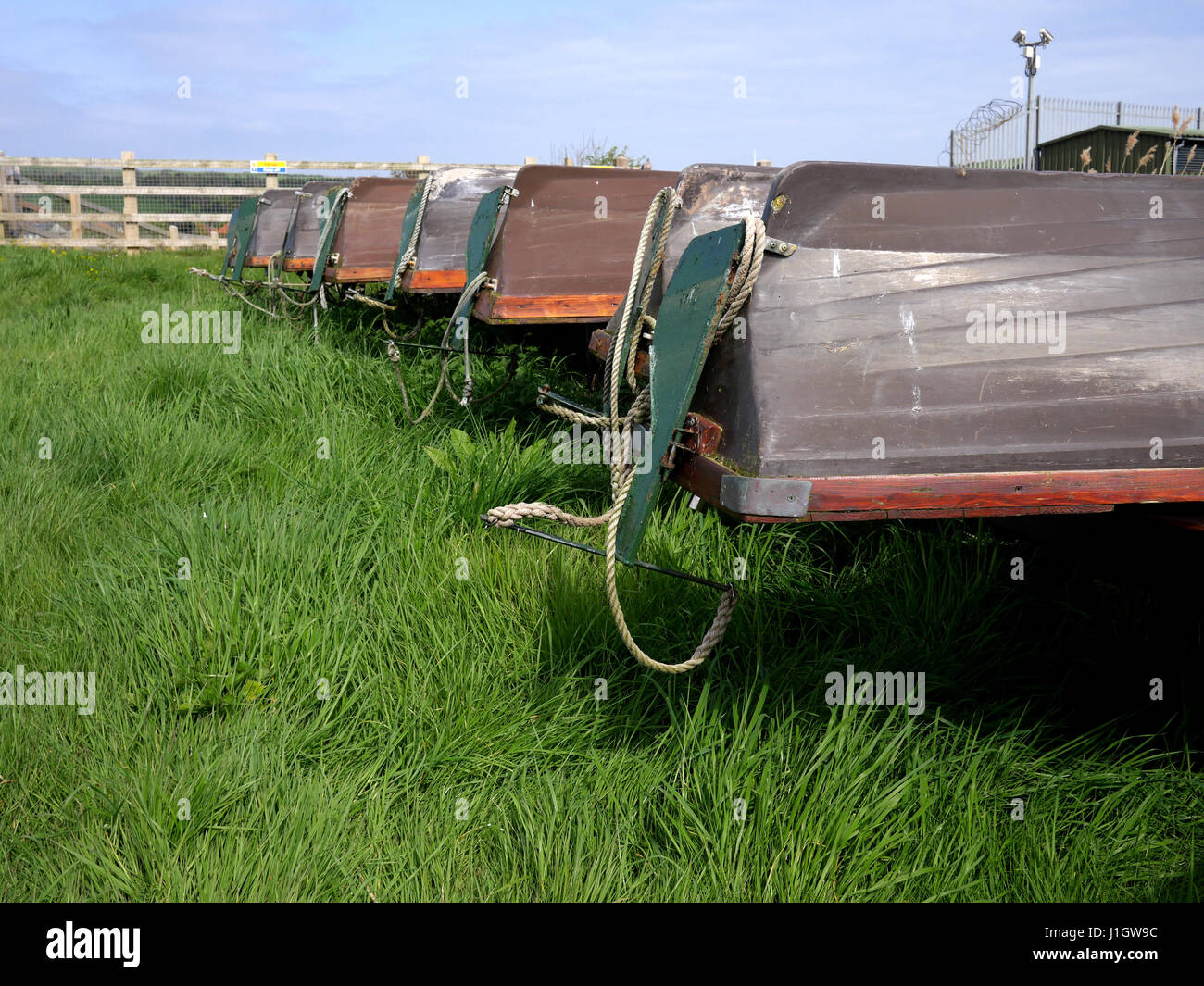 Row of rowing boats stacked for storage Stock Photo - Alamy