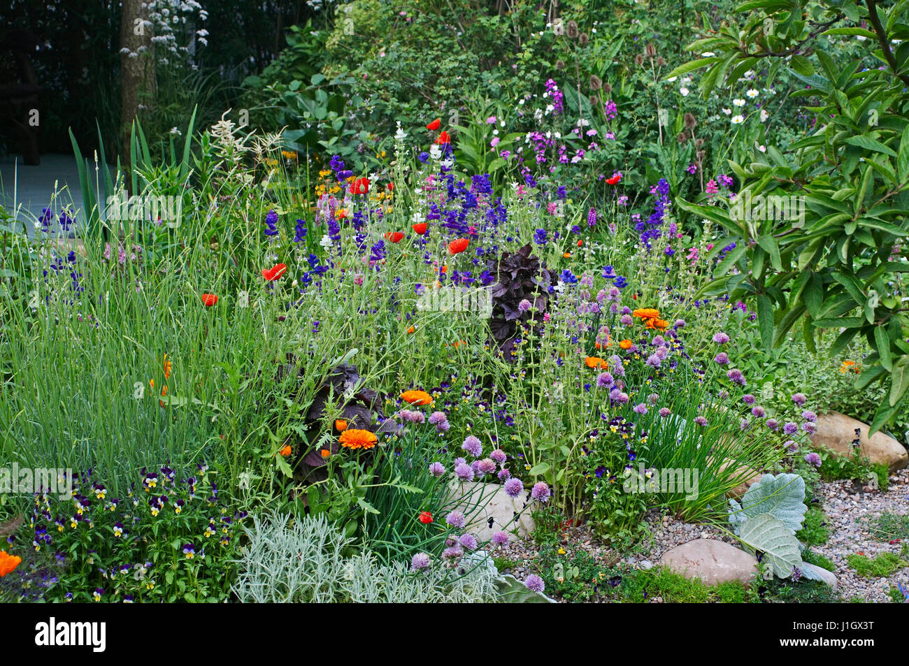Cut flower border hi-res stock photography and images - Alamy